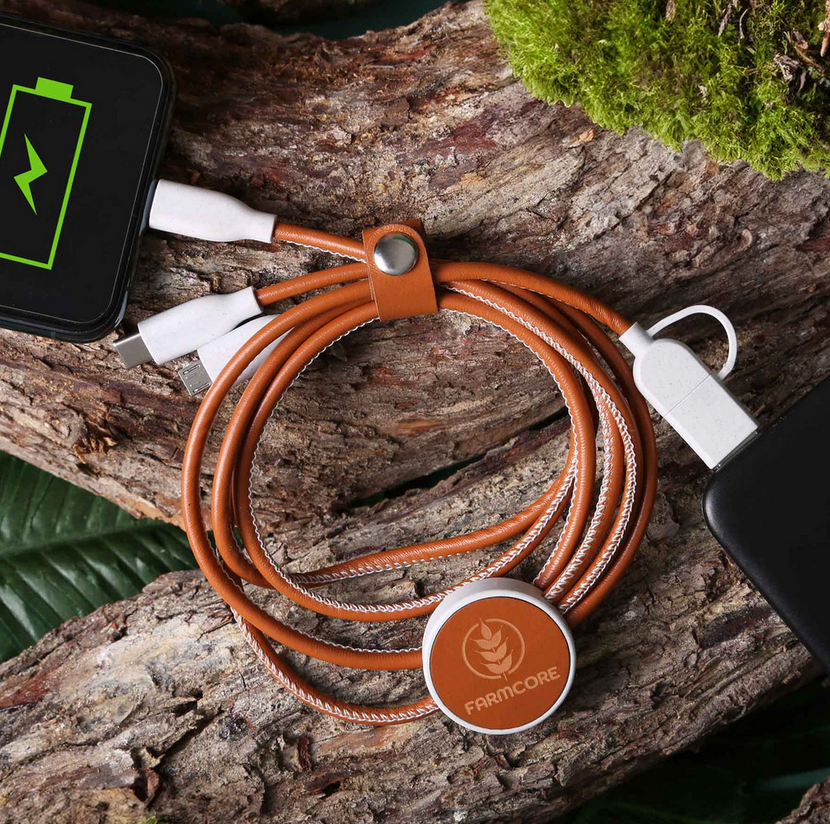 3-in-1 Charging Cable made from Recycled Materials – Oyster Promo Inc.